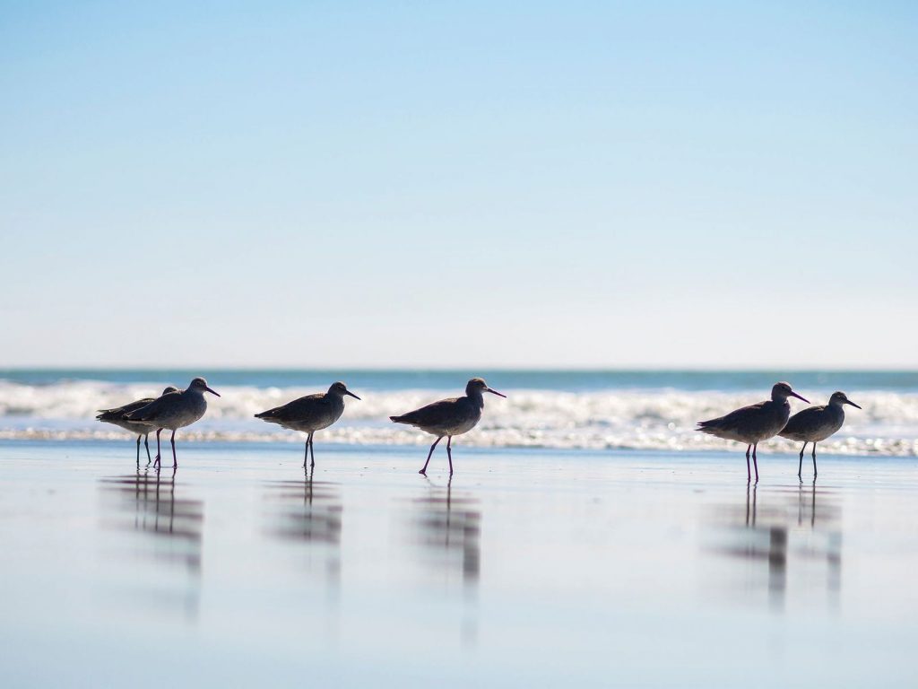 Home - Oceano Hotel & Spa | A Half Moon Bay Resort | Oceano Hotel & Spa